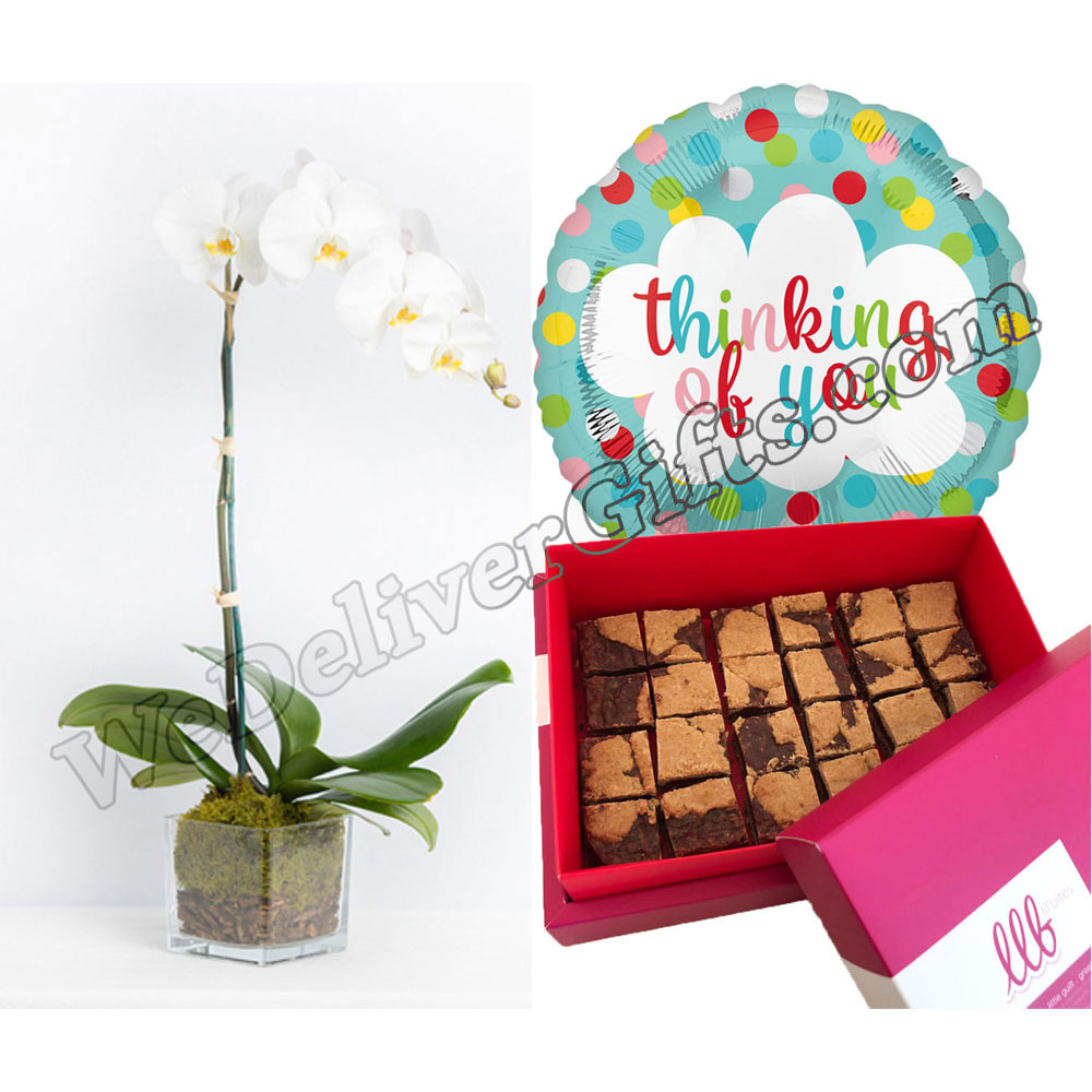 Chocolate Revel Bar Bites | WeDeliverGifts