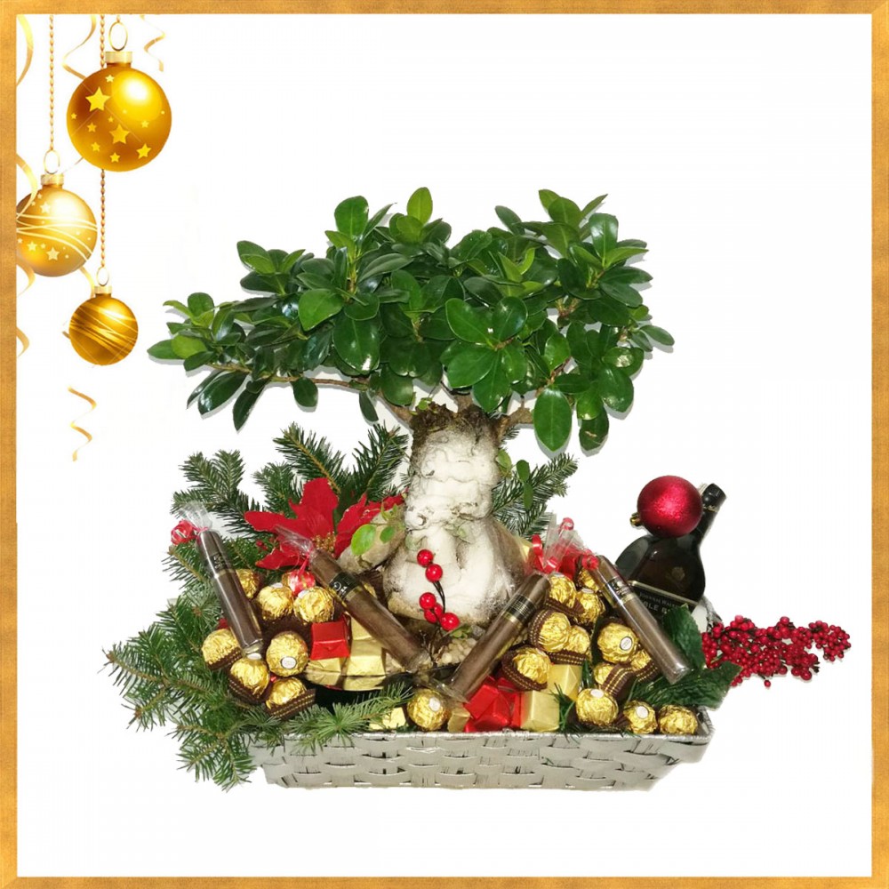 Bonsai with Black Label and Chocolate | WeDeliverGifts